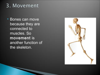 Skeletal system | PPT