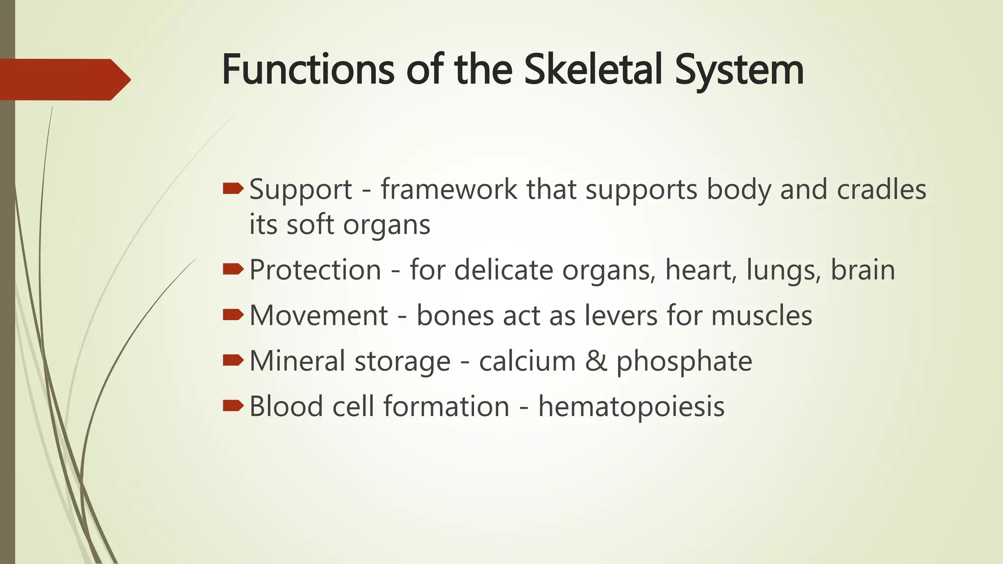 Skeletal system | PPTX