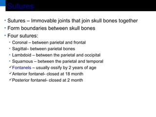 Skeletal system in a Brief | PPT