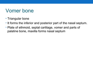 Skeletal system in a Brief | PPT