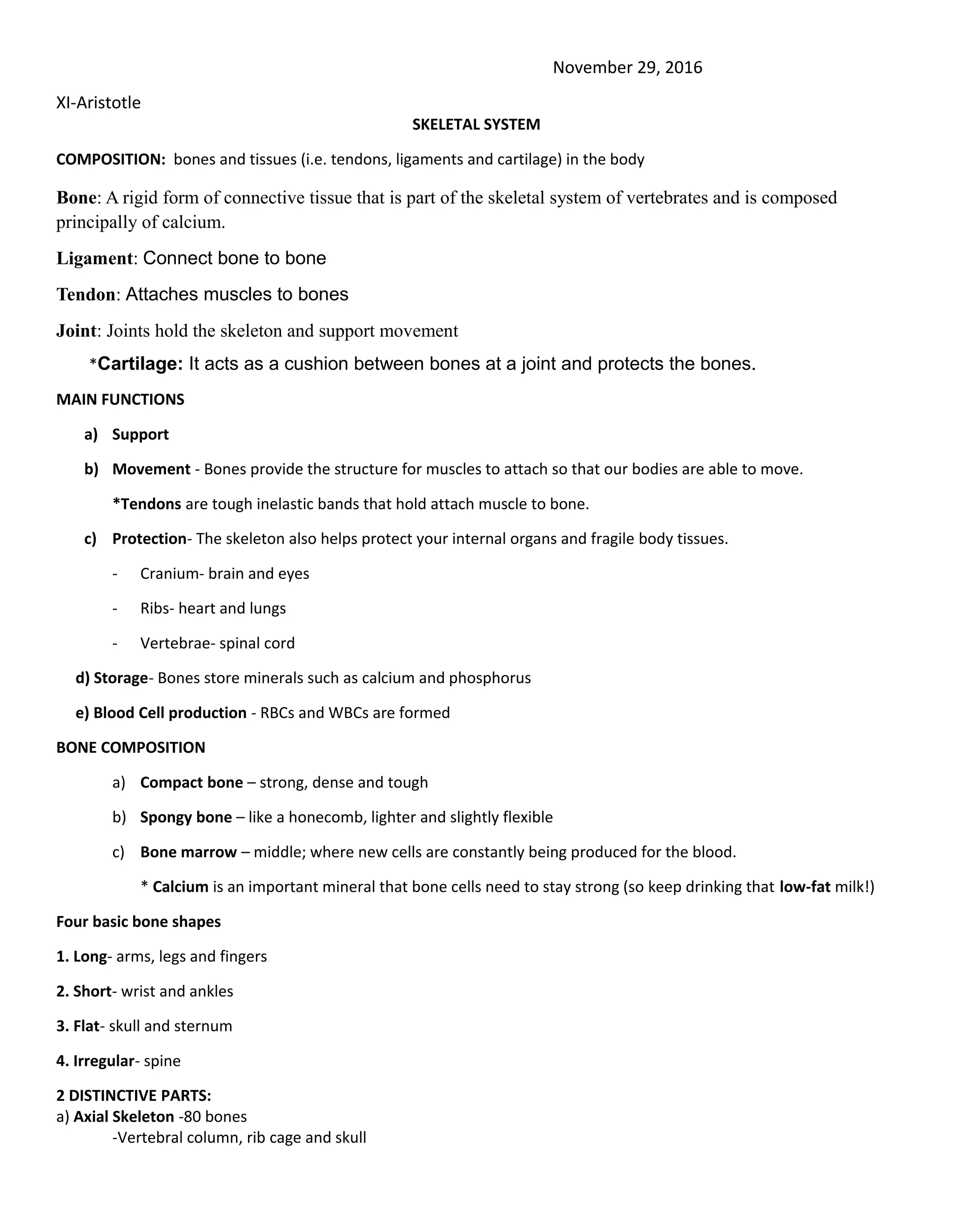 Skeletal System Outline | DOC