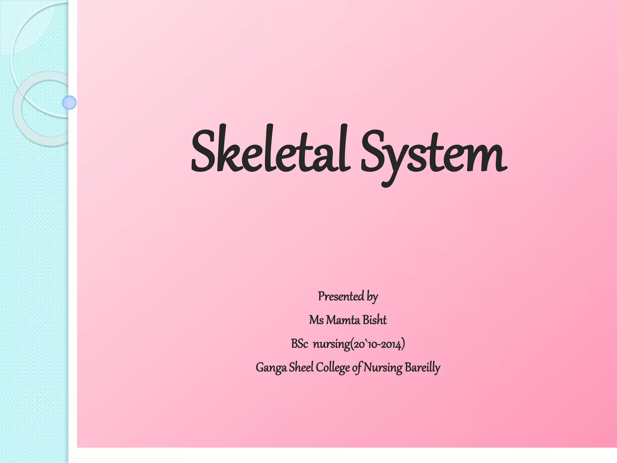 Skeletal system. anatomy and physiology of skeletal system ...
