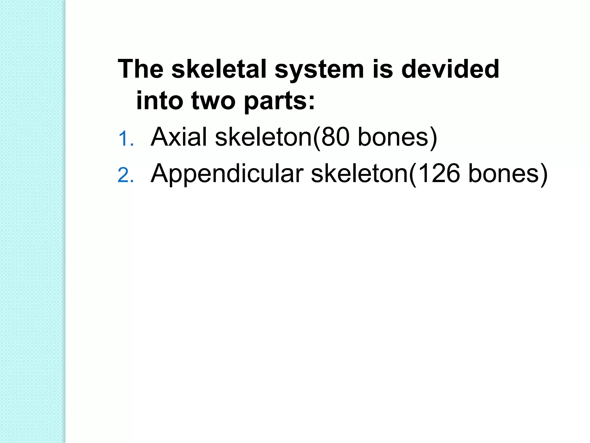 Skeletal system. anatomy and physiology of skeletal system ...
