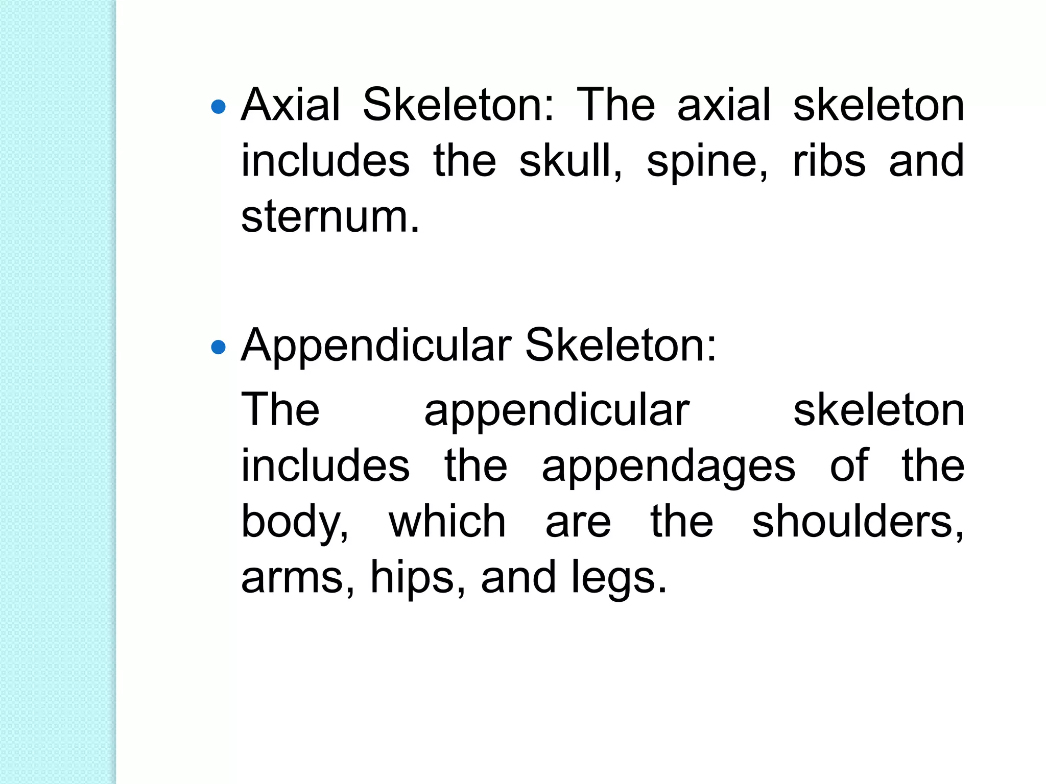 Skeletal system. anatomy and physiology of skeletal system ...