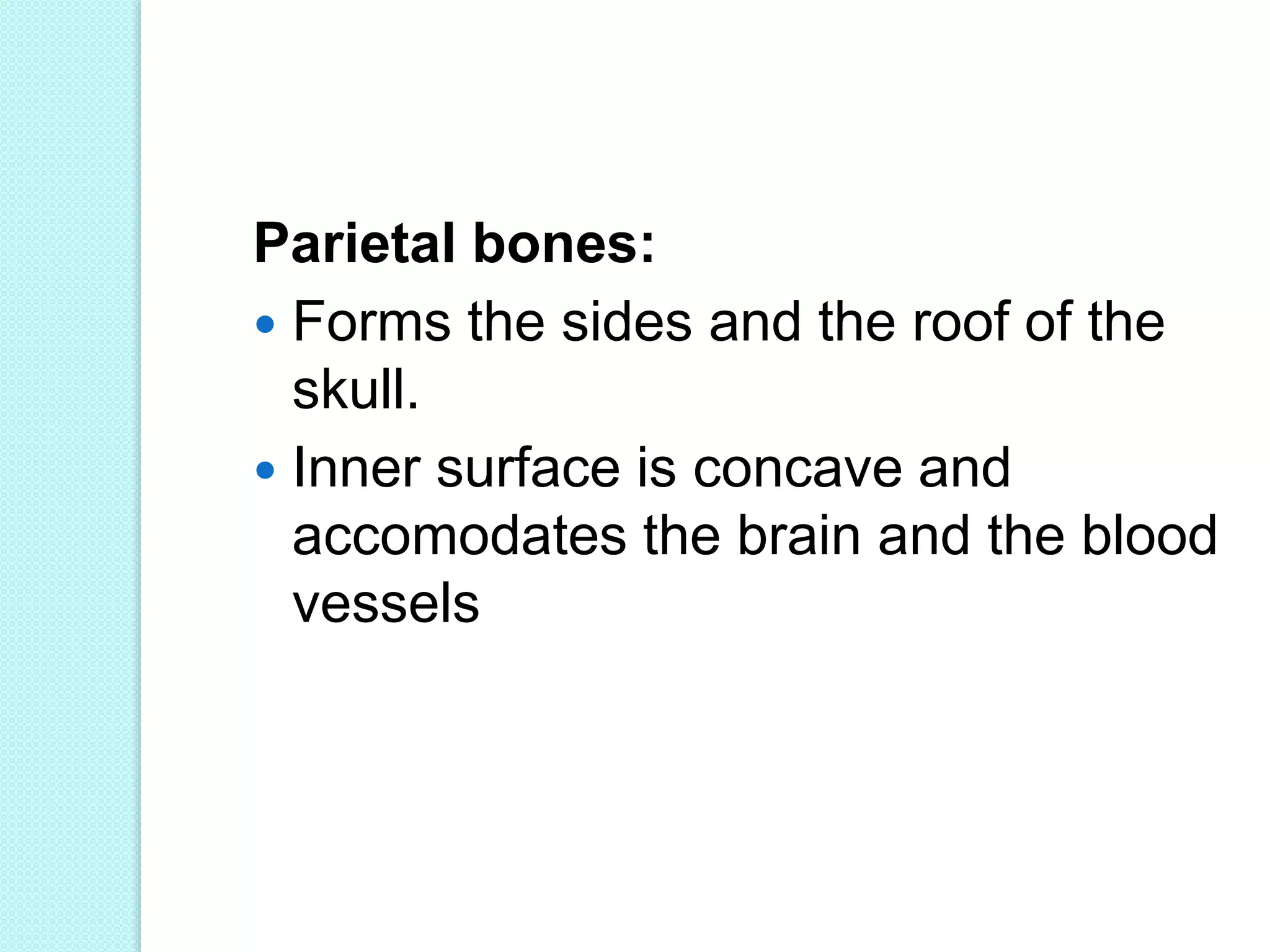 Skeletal system. anatomy and physiology of skeletal system ...