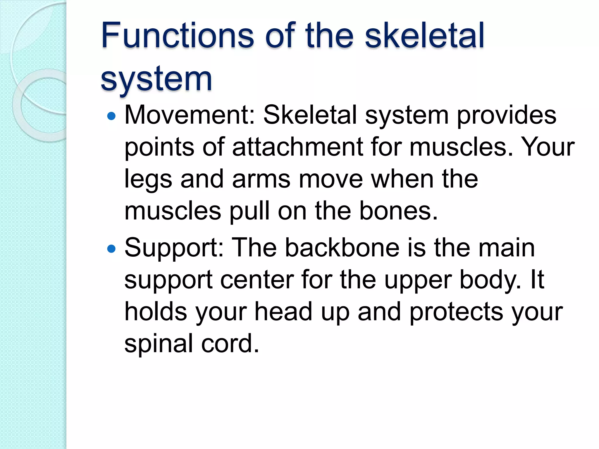 Skeletal system. anatomy and physiology of skeletal system ...