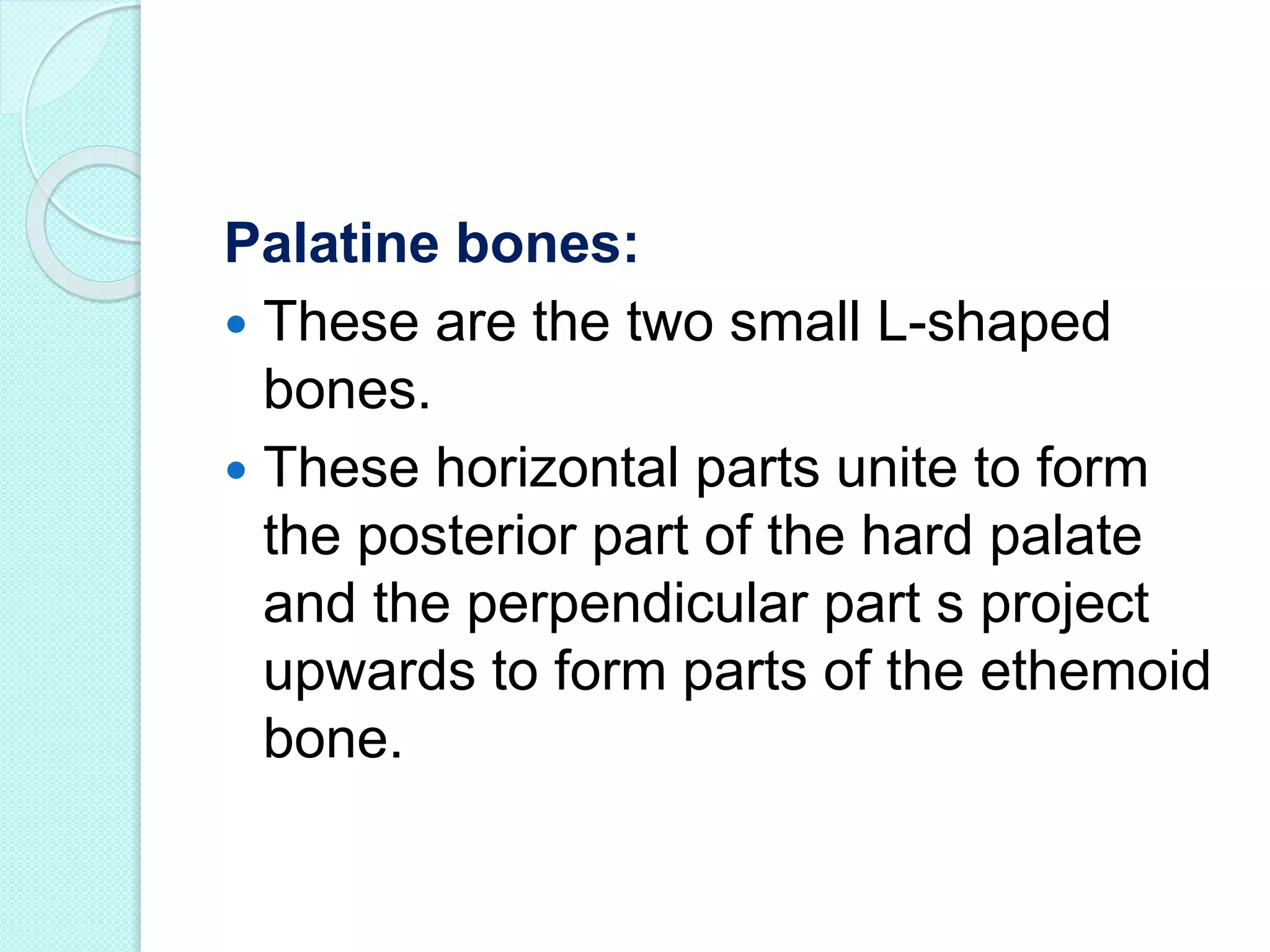Skeletal system. anatomy and physiology of skeletal system ...