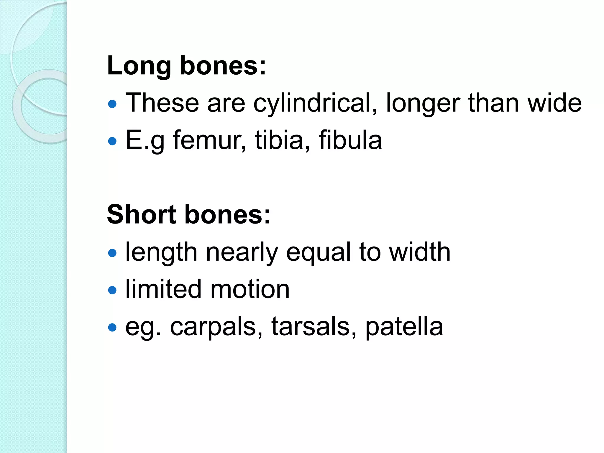 Skeletal system. anatomy and physiology of skeletal system ...
