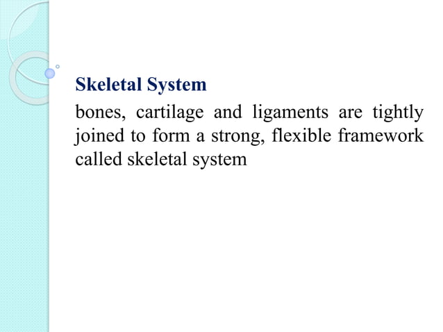 Skeletal system. anatomy and physiology of skeletal system ...