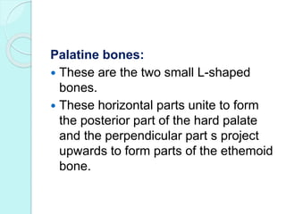 Skeletal system. anatomy and physiology of skeletal system ...
