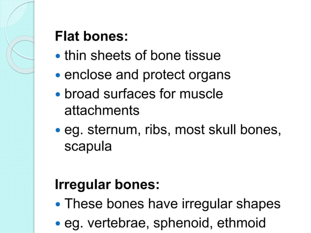 Skeletal system. anatomy and physiology of skeletal system ...