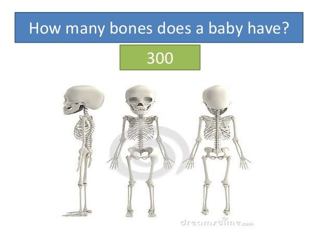 How Many Bones In Baby Slideshare How Many Bones In Baby Slideshare