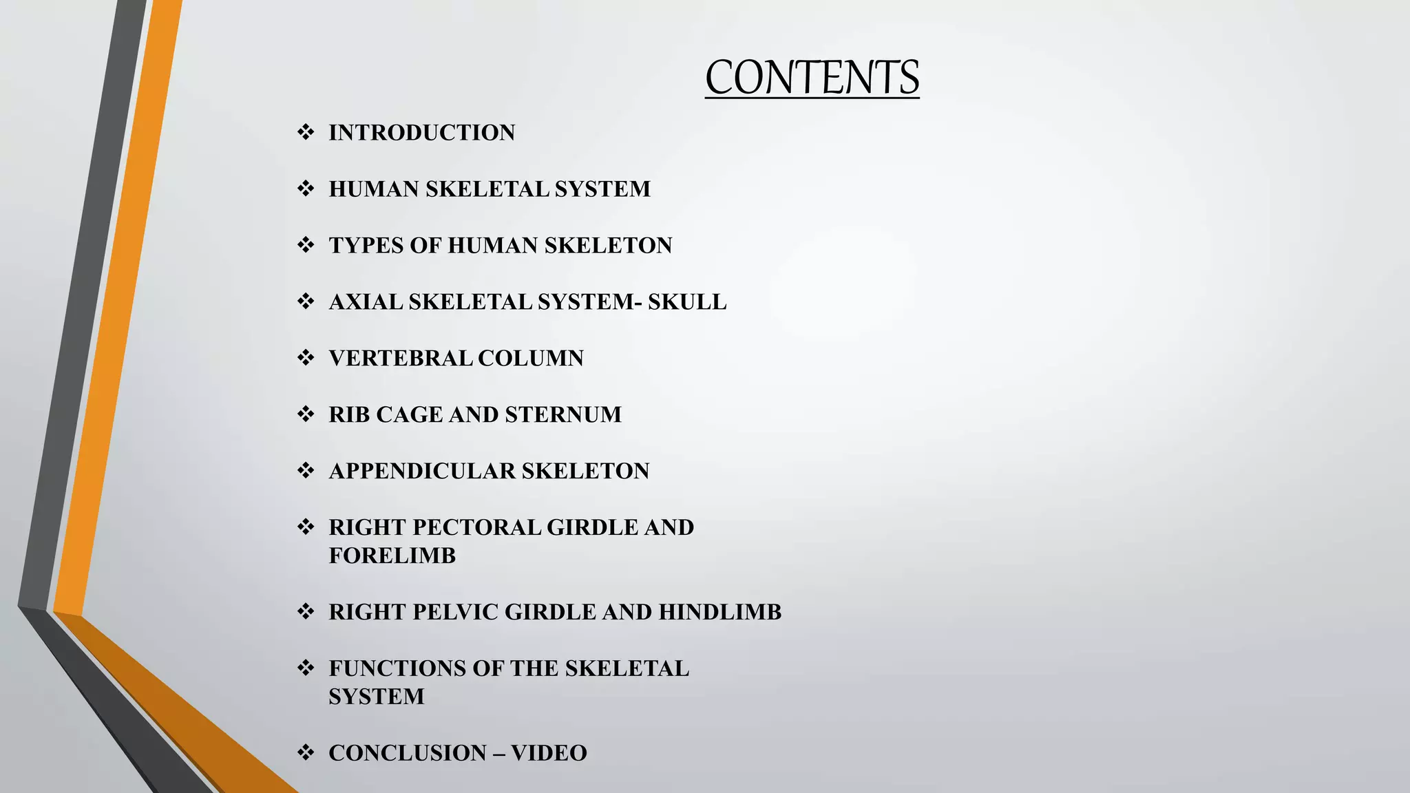 Skeletal system | PPT