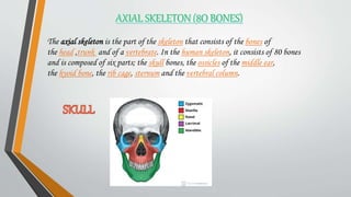 Skeletal system | PPT