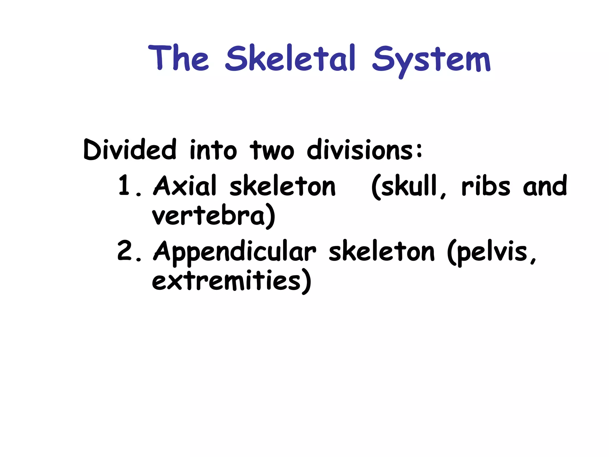 Skeletal system | PPT