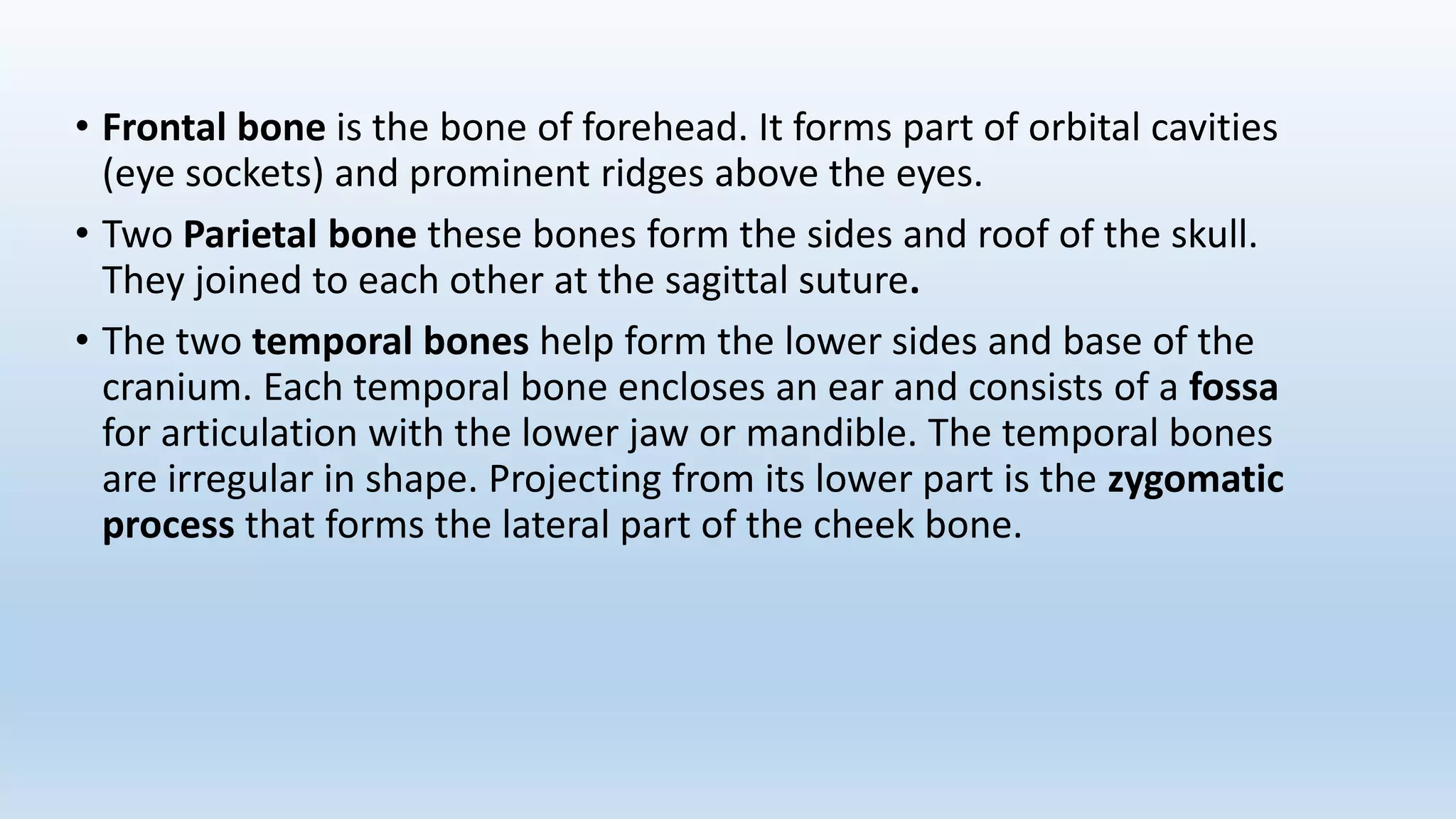 Human Skeletal system | PPTX