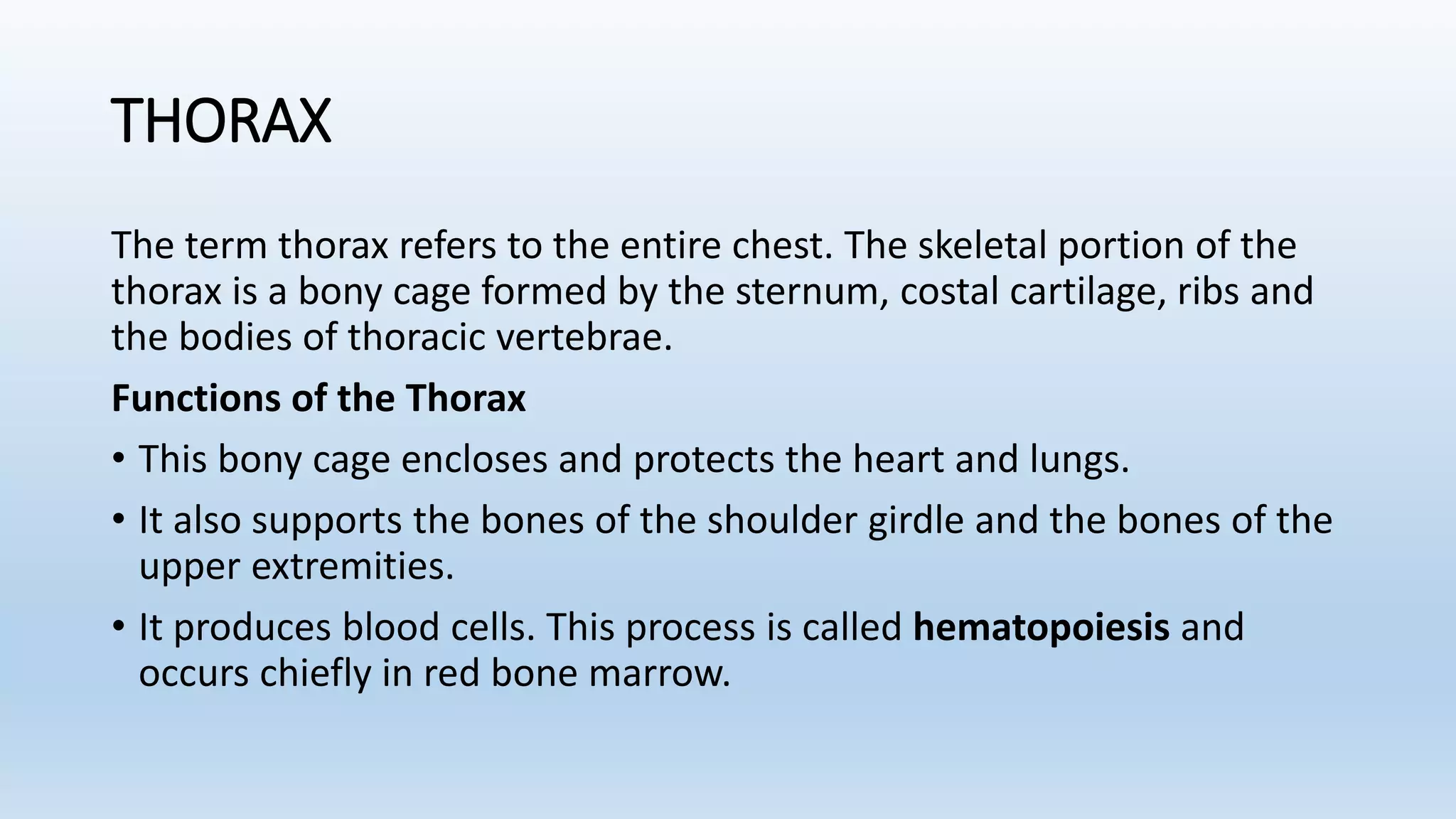 Human Skeletal system | PPTX