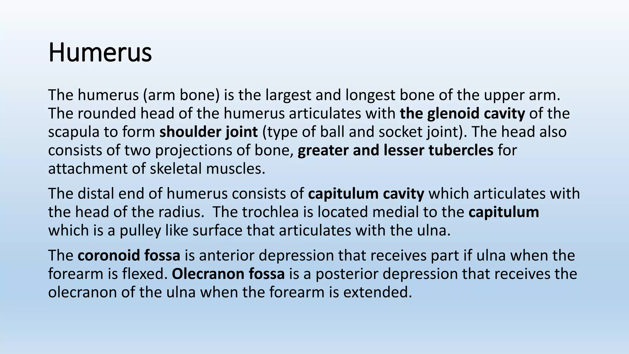 Human Skeletal system | PPTX