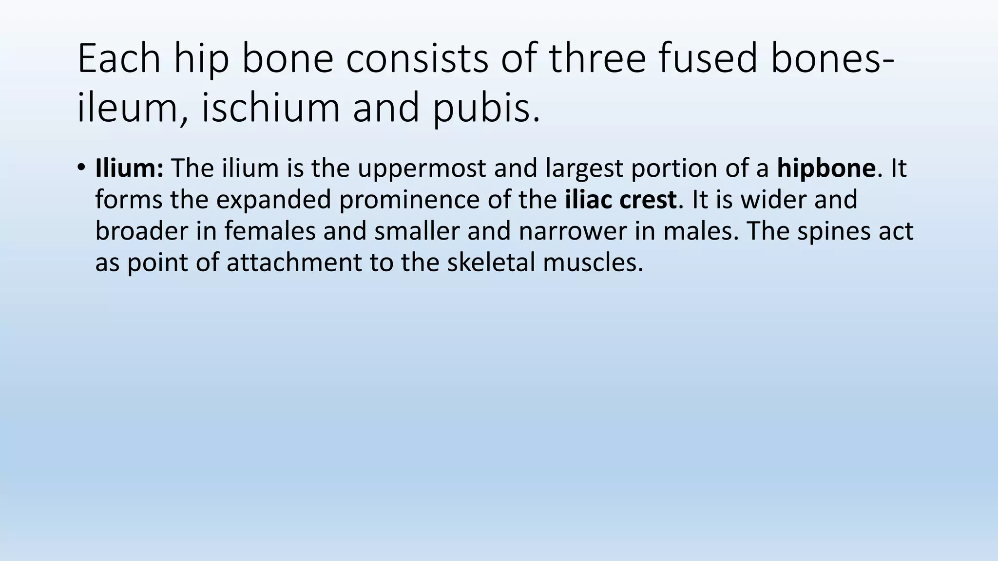 Human Skeletal system | PPTX