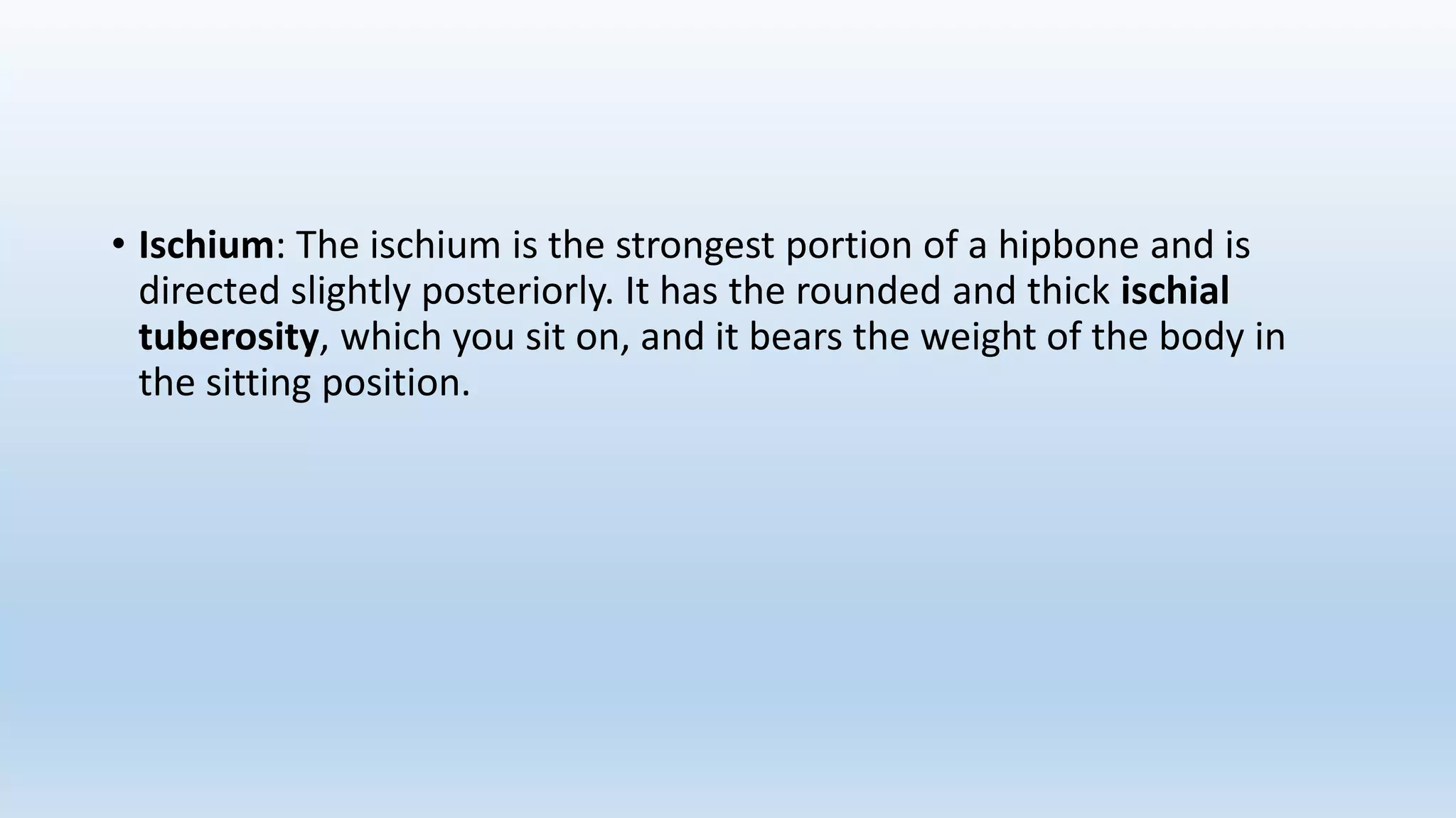 Human Skeletal system | PPTX