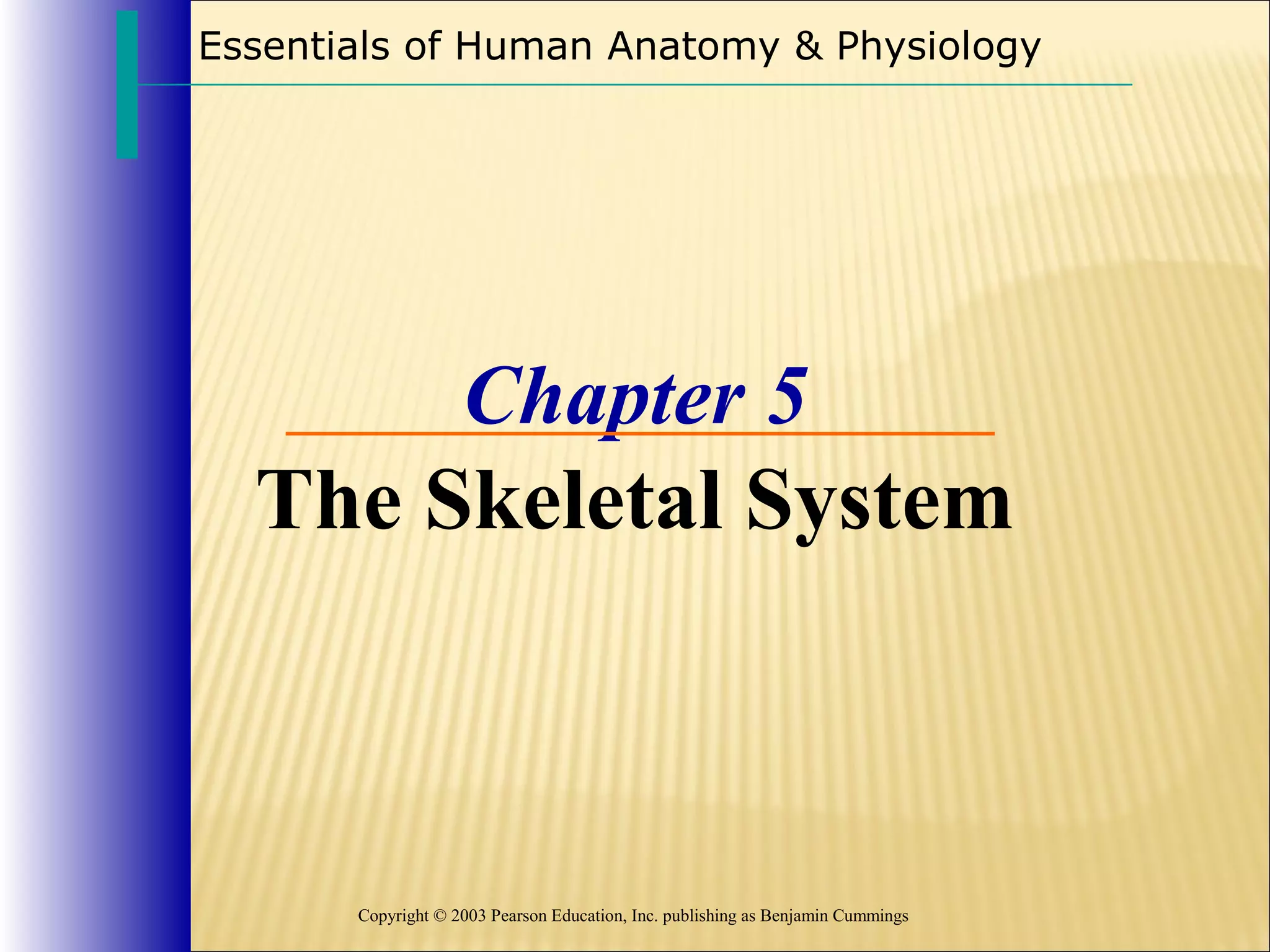 Skeletal system 2 | PPT