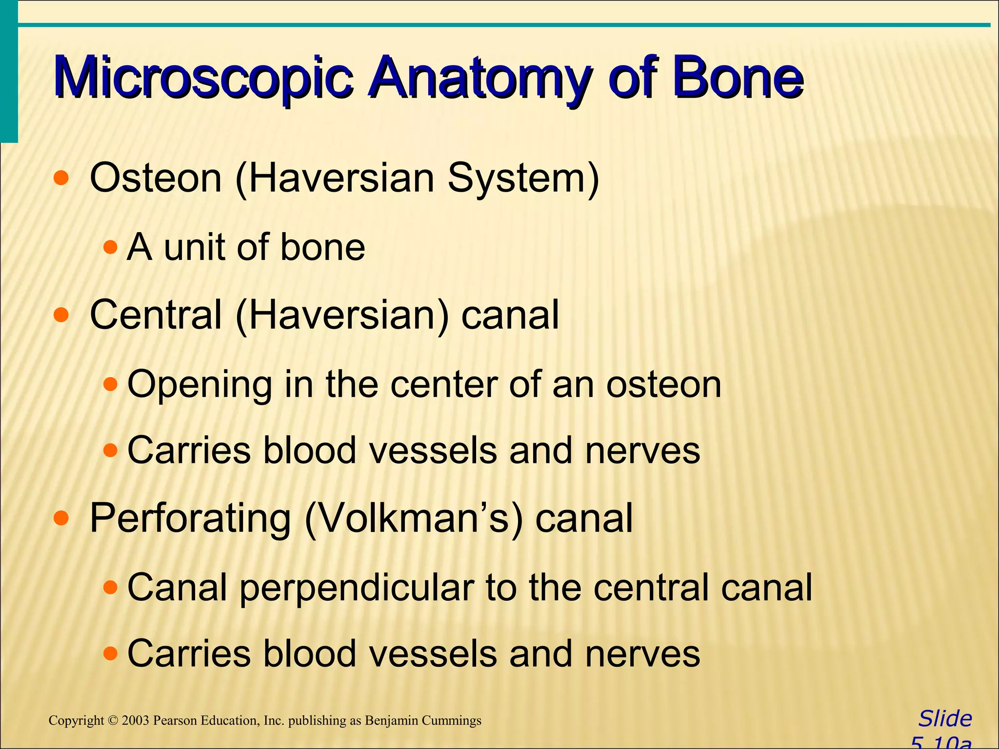 Skeletal system 2 | PPT