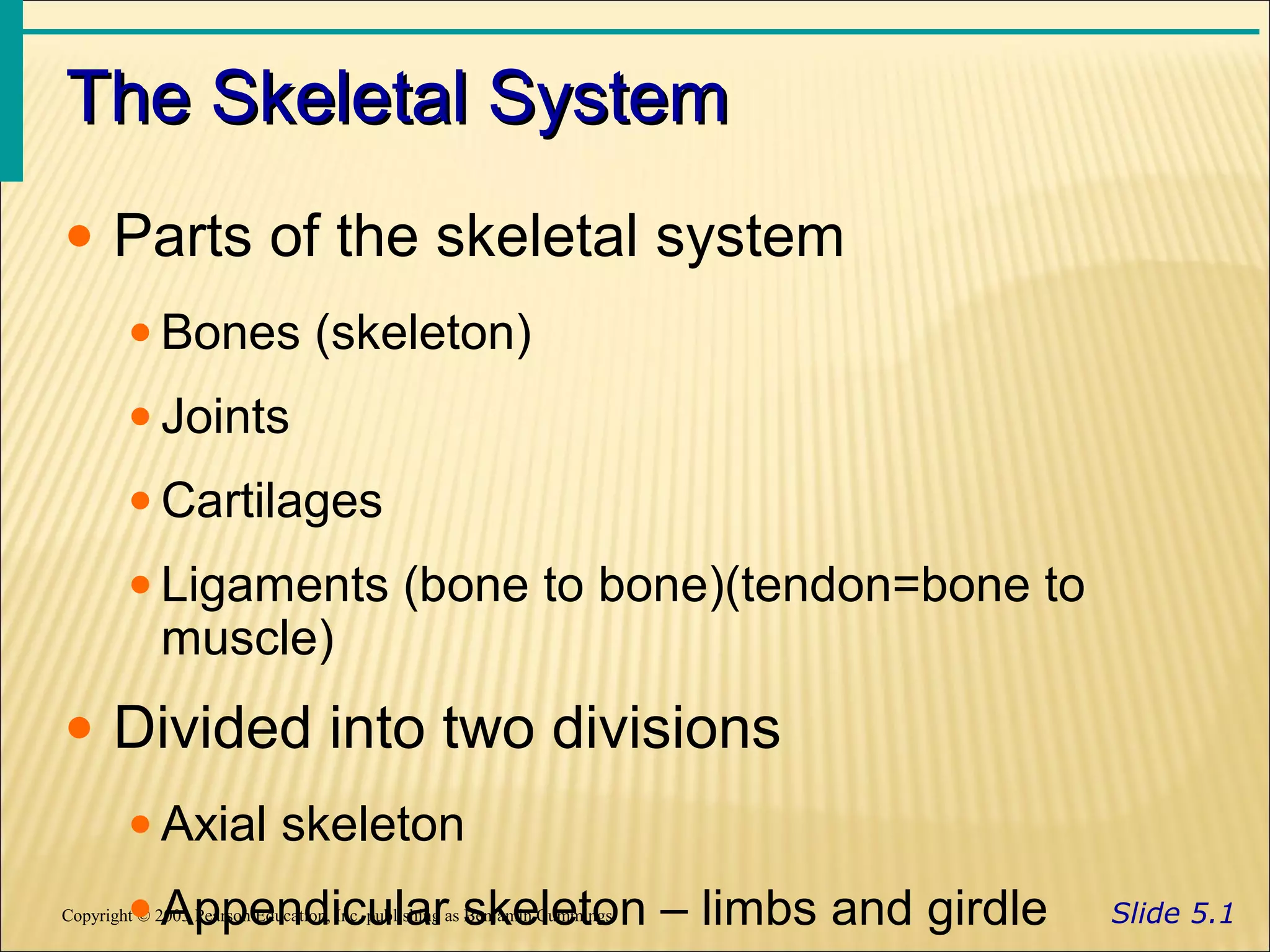 Skeletal system 2 | PPT