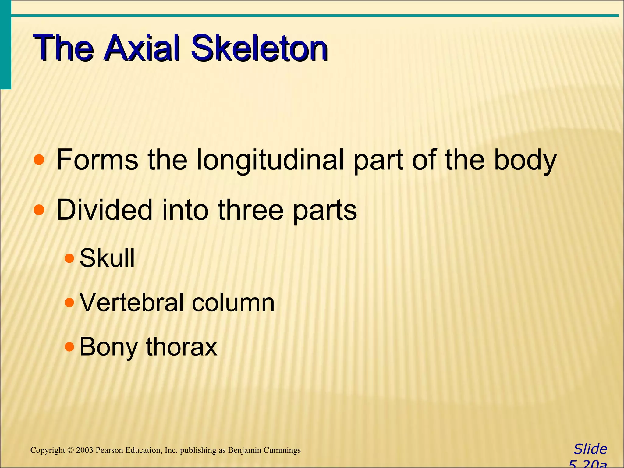 Skeletal system 2 | PPT