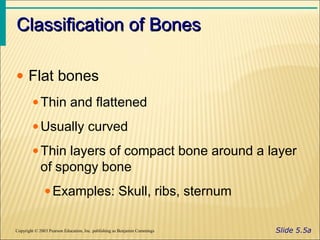 Skeletal system 2 | PPT
