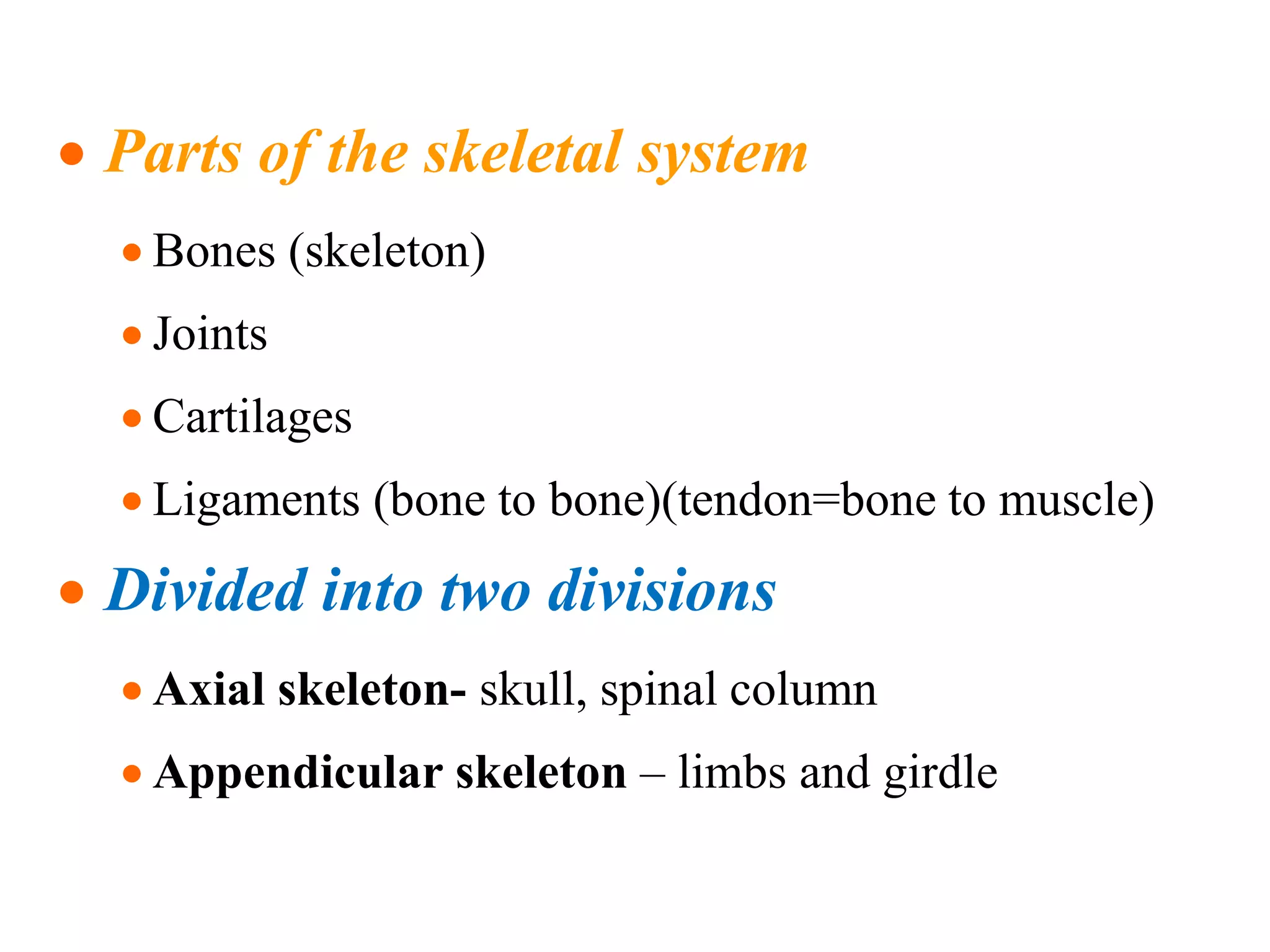 Skeletal System | PPT