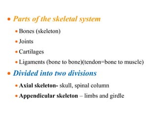 Skeletal System | PPT