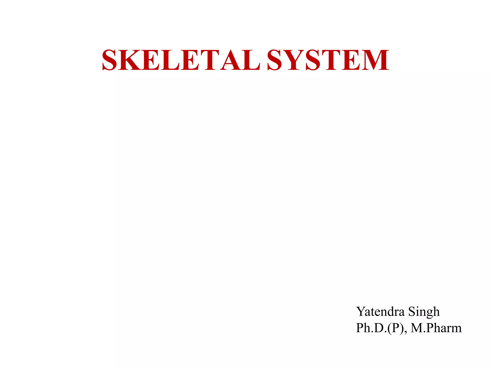 Skeletal system | PPT