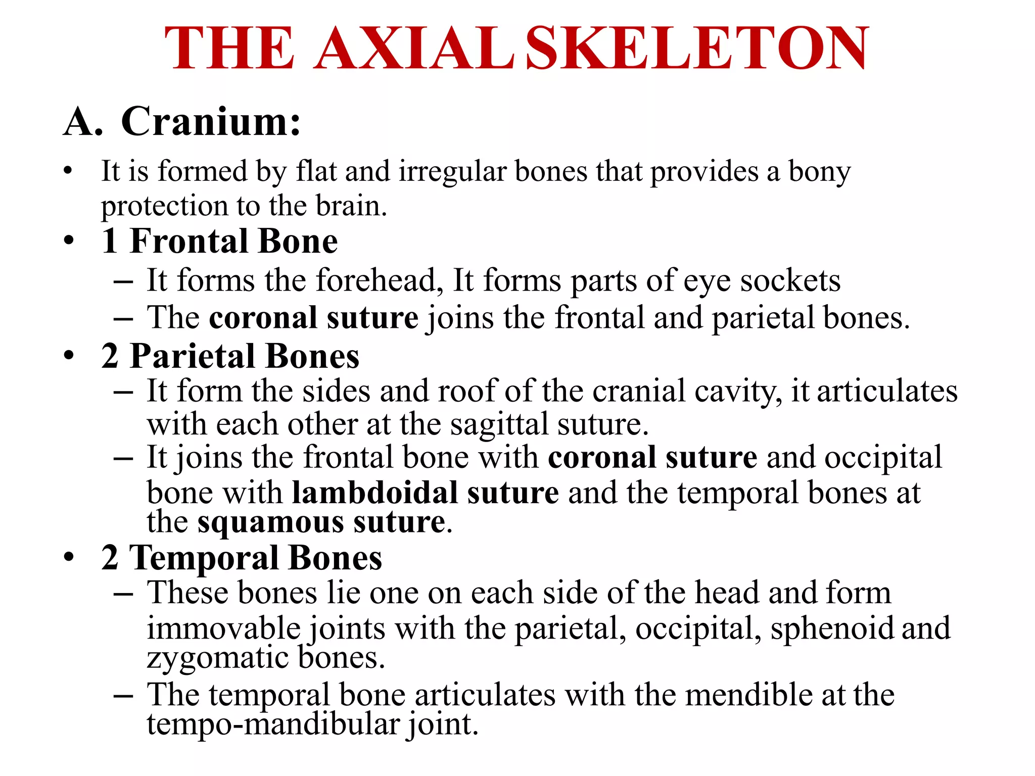 Skeletal system | PPT