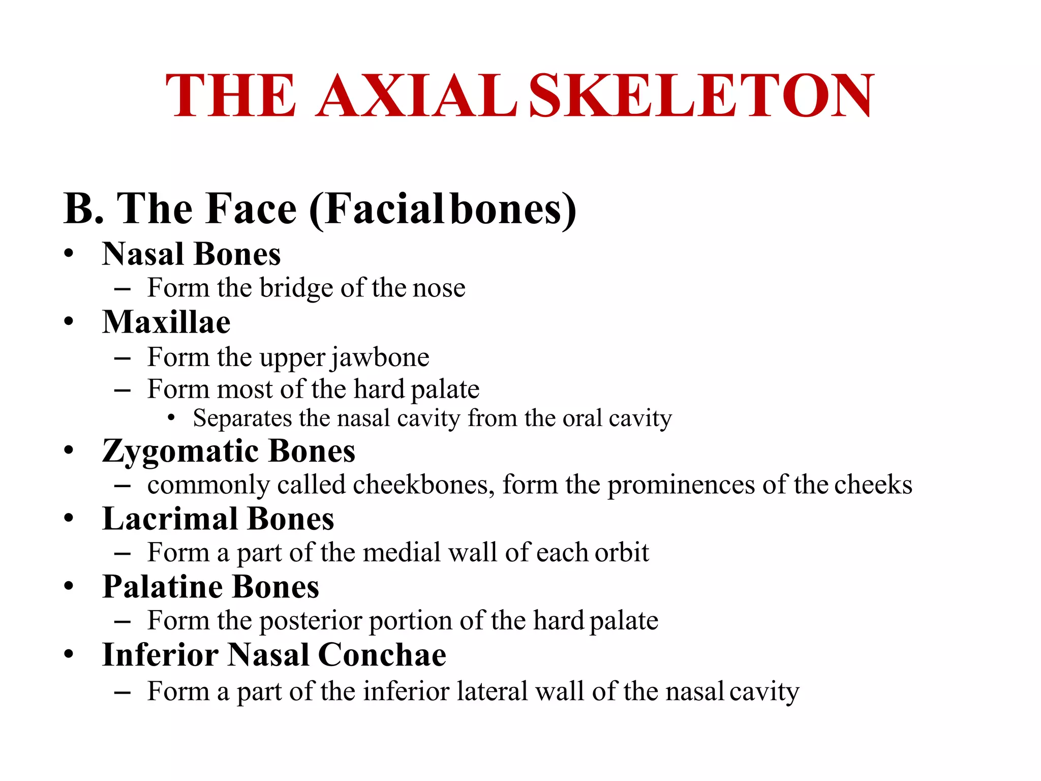 Skeletal system | PPT