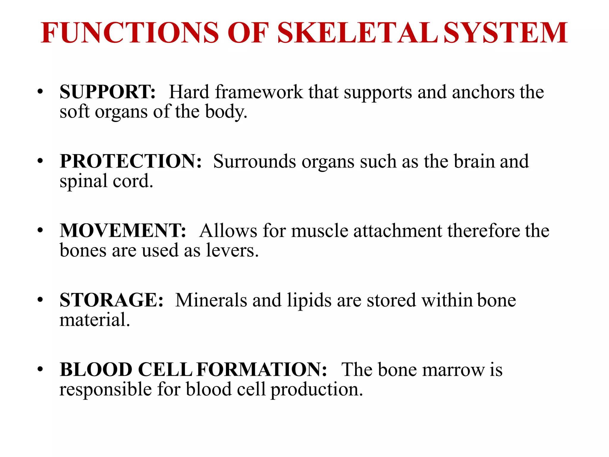 Skeletal system | PPT