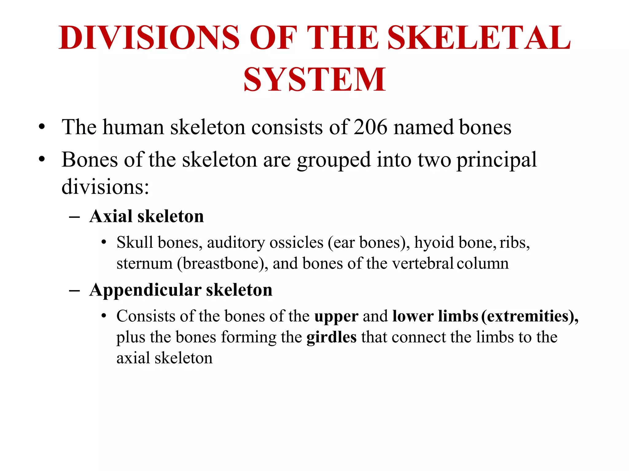 Skeletal system | PPT