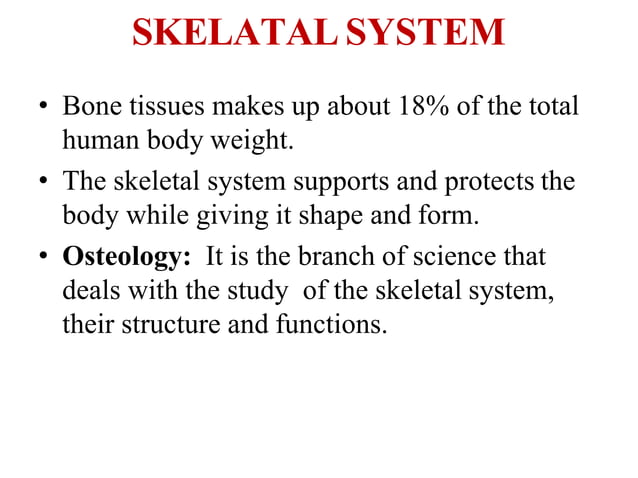 Skeletal system | PPT
