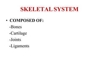 Skeletal system | PPT