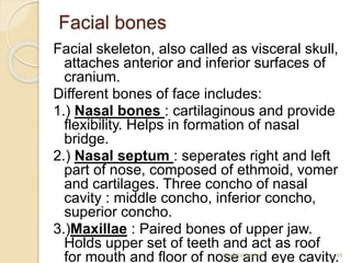 Skeletal system | PPTX