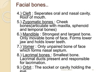 Skeletal system | PPTX