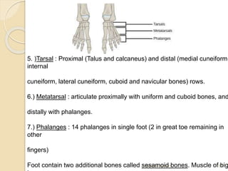 Skeletal system | PPTX