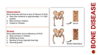 Skeletal system | PPT