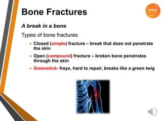 Skeletal System | PPTX