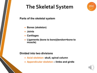 Skeletal System | PPTX
