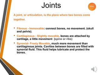 Skeletal System | PPTX