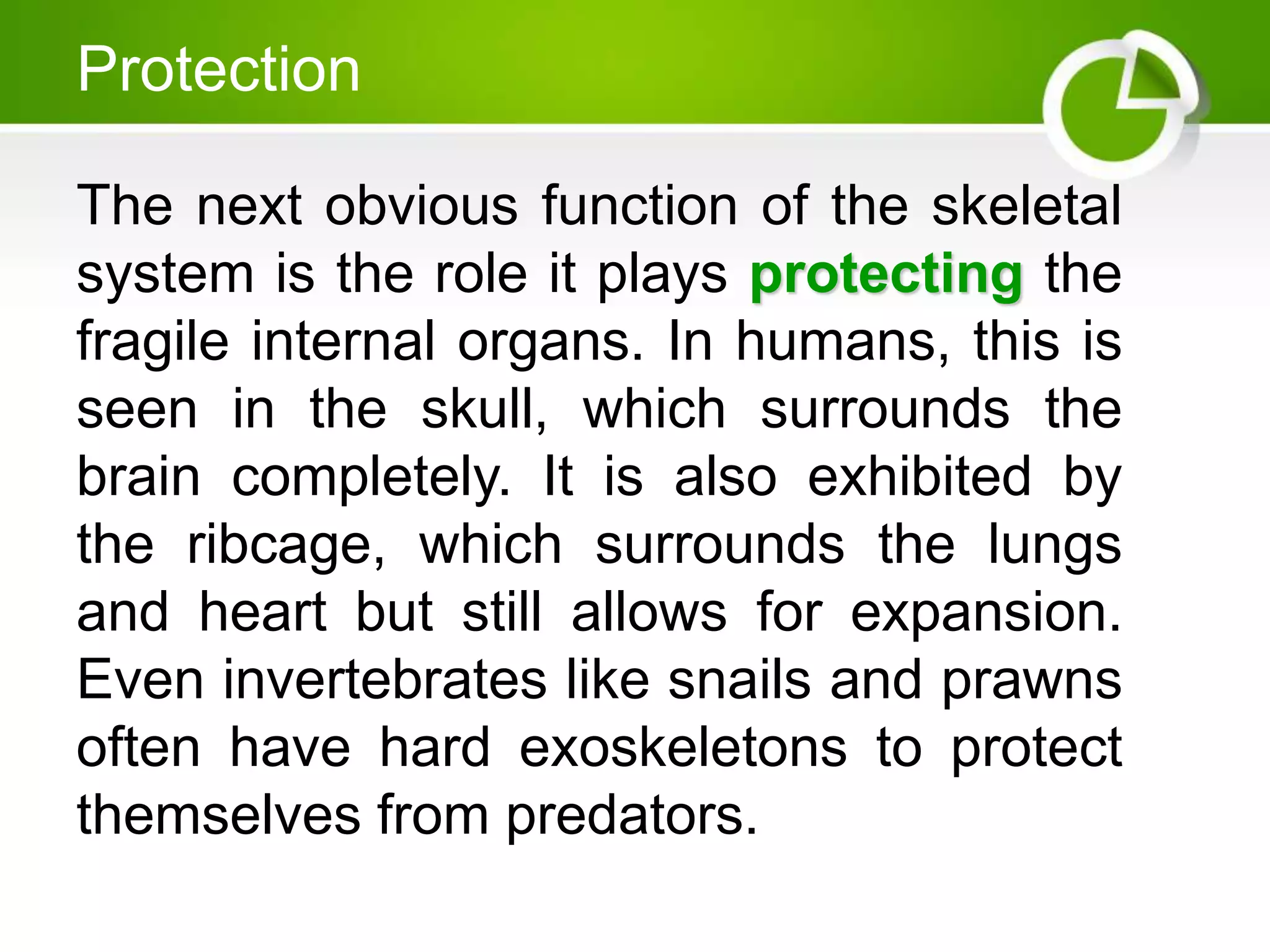 Skeletal system | PPT