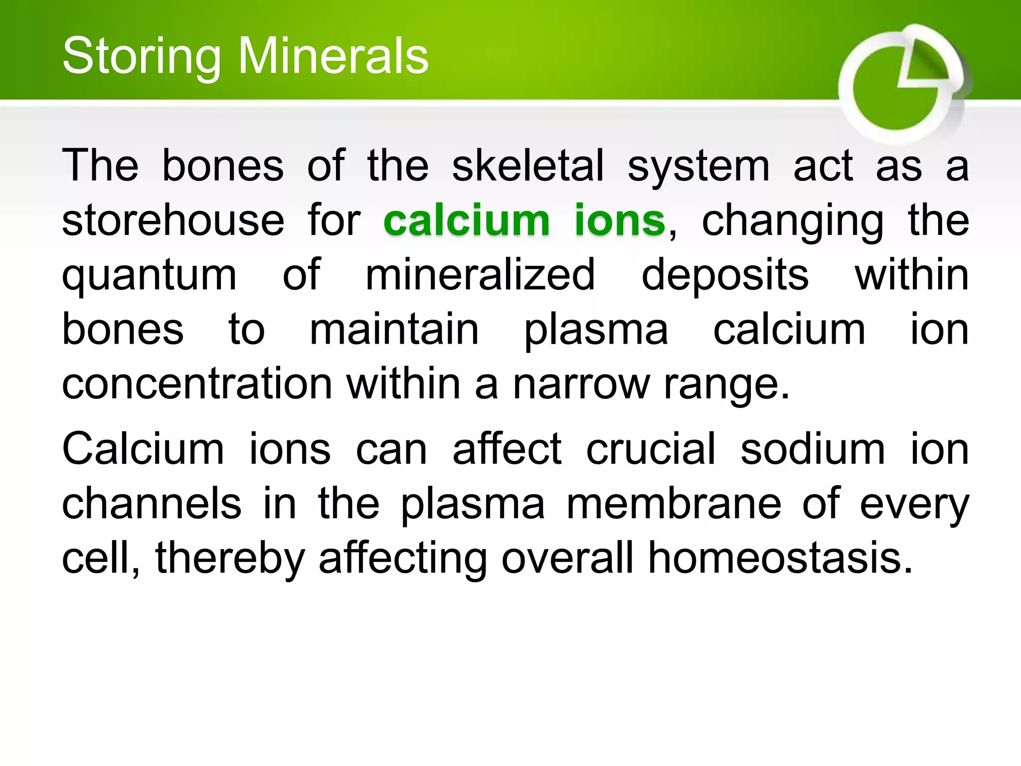 Skeletal system | PPT