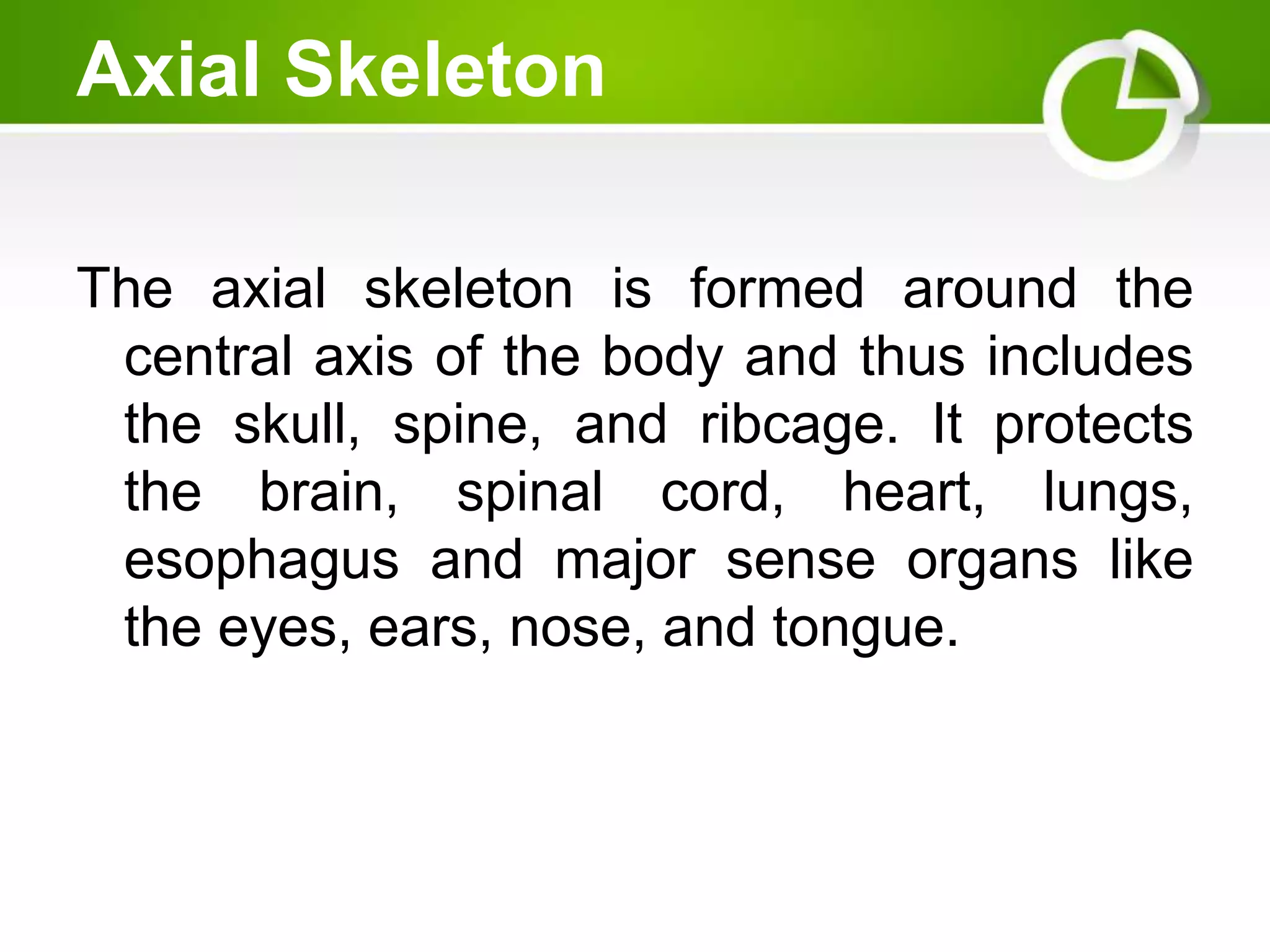 Skeletal system | PPT