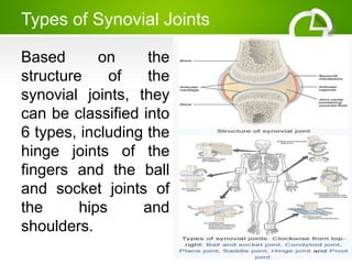 Skeletal system | PPT