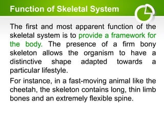 Skeletal system | PPT | Bone and Joint Conditions | Diseases and Conditions
